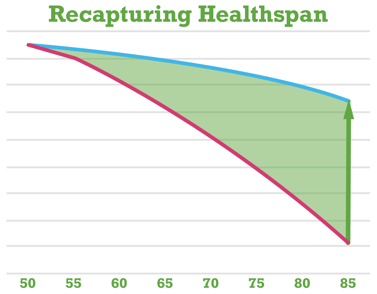 Healthspan vs. Lifespan: What’s the Difference and Why It Matters for ...