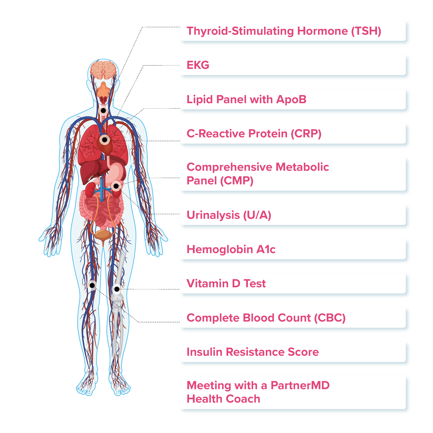 Executive Physicals for Your Company | Concierge Medicine | PartnerMD